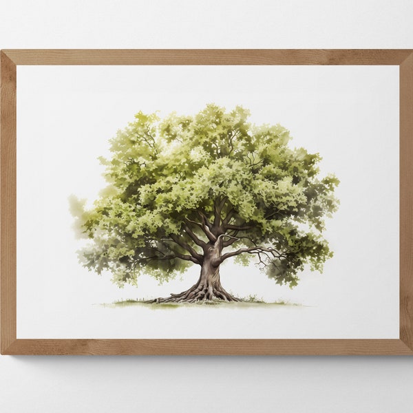 Elm Tree - Etsy