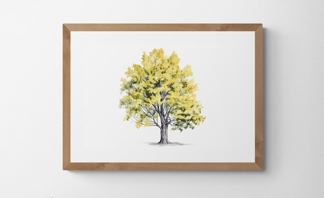 Ginkgo Tree Watercolour Printable Digital Art, a Symbol of Longevity ...