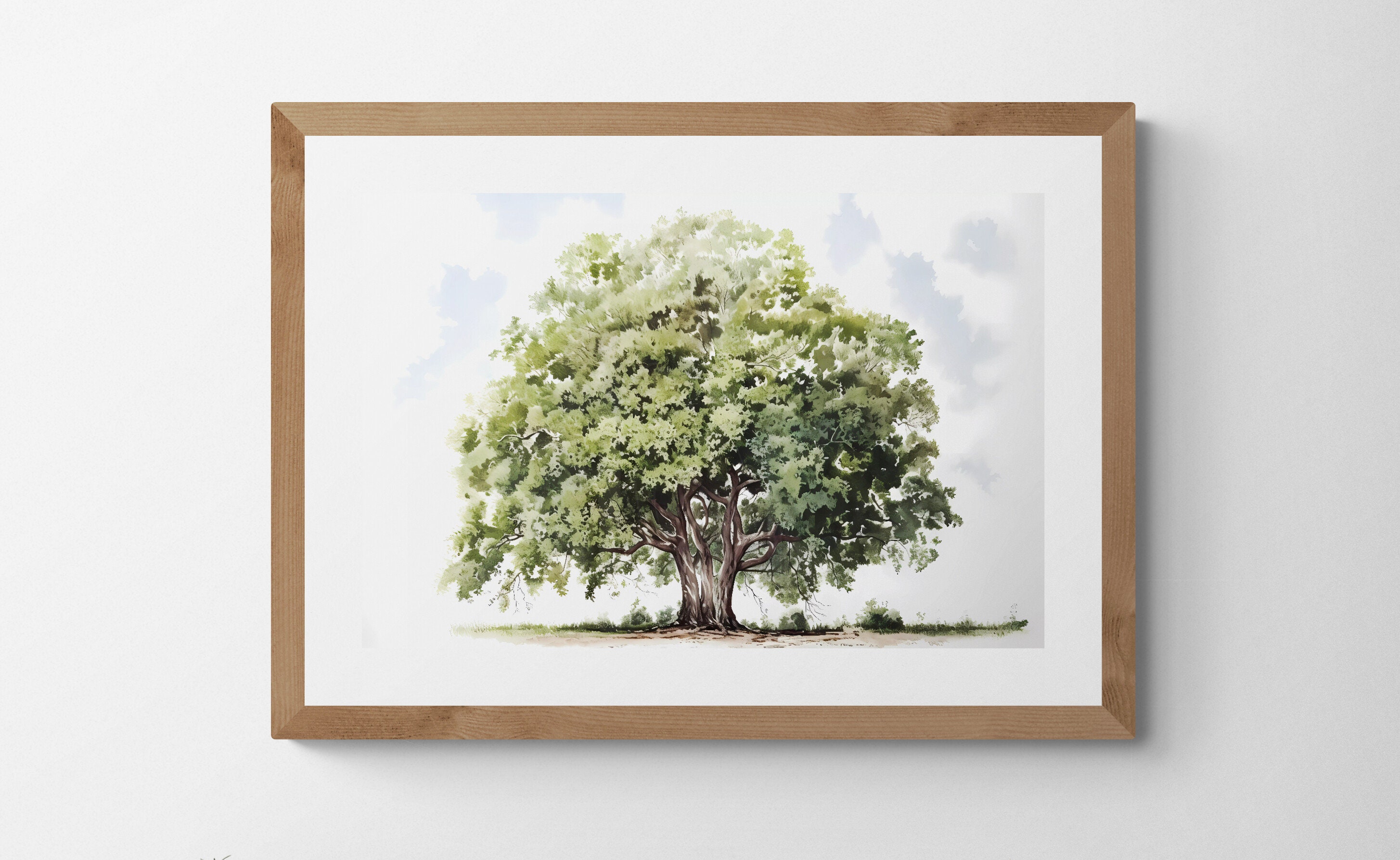 Pecan Tree Clip Art