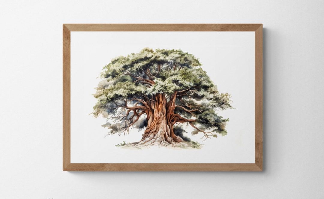 Cedar Tree Watercolour Printable Digital Art, Bring Nature Inside ...