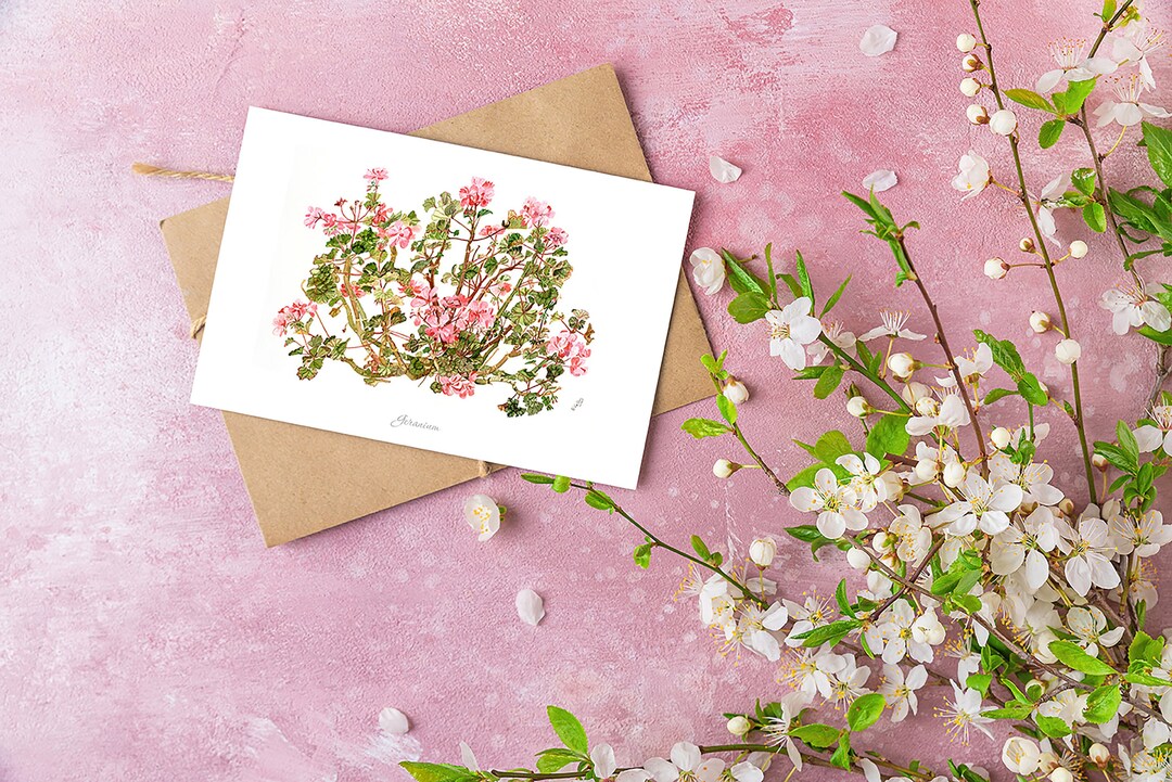 Geranium Botanical Print, Floral Notecard, Wildflower Birthday ...