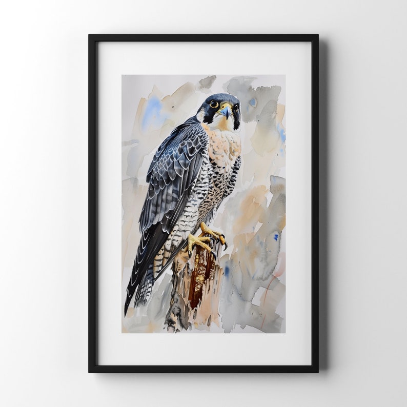 Peregrine Falcon, Watercolor Painting, Wildlife Enthusiasts, Audubon ...