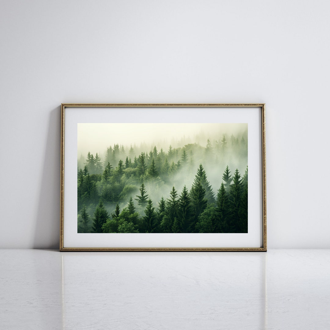 Forest Photography for Nature Home Decor Pine Forest Art Gift for ...