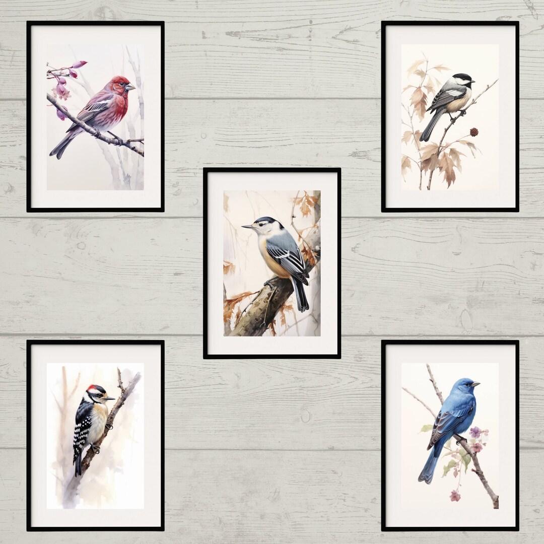 5 Bird Prints, Bird Watercolor Painting, Wildlife Bird Painting ...