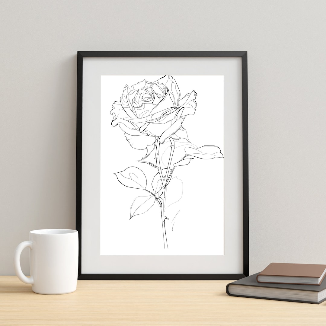 Elegant Simple Rose Line Art Flower Drawing Outline Botany Illustration ...