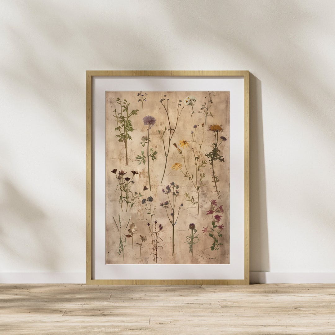Wildflower Art Antique Botanical Print Vintage Herbarium Book for ...