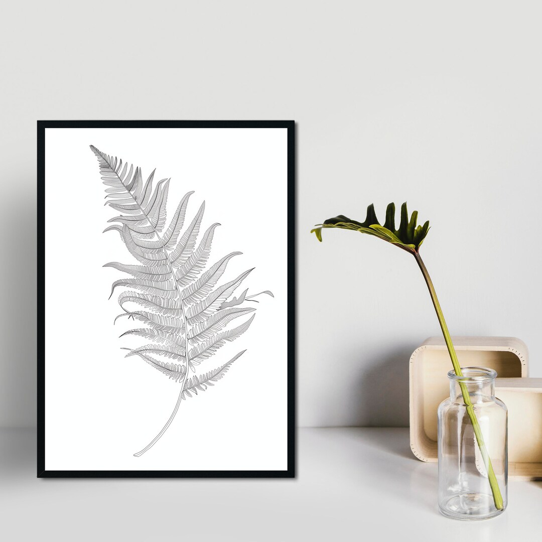 Fern Illustration Minimalist Botanical Art Simple Line Art Nature ...