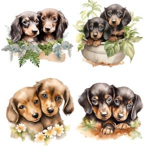 Dachshund Puppy Clip Art, 22 High Quality Images, 3 Formats, Digital ...