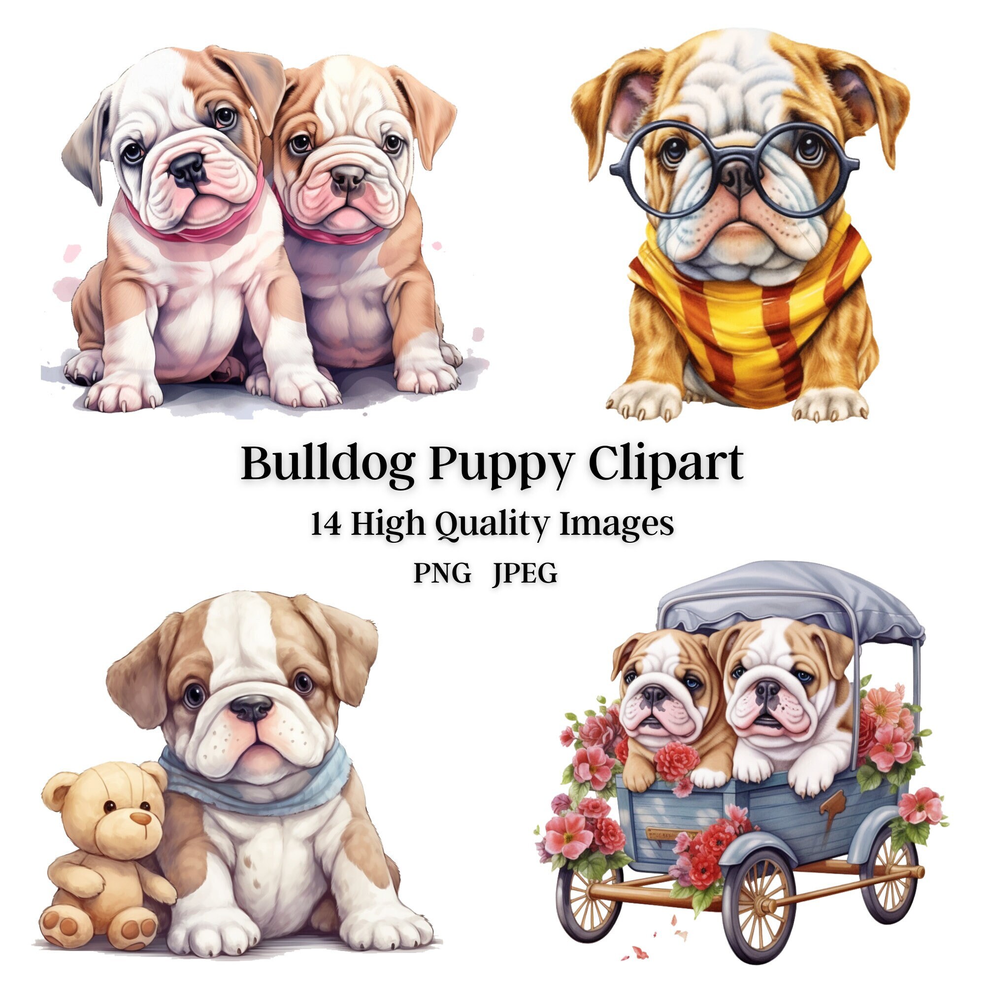 Clipart Bulldog Puppy