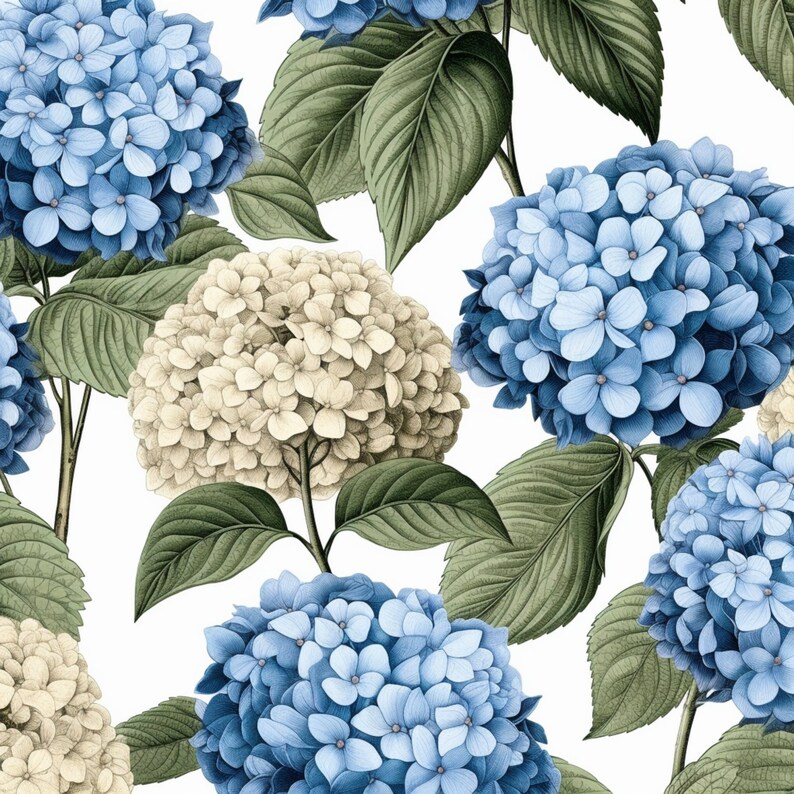 Floral Digital Paper, Digital Download, Clip Art, Colorful Illustration ...