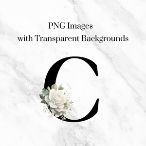 Black and White Floral Letter Clip Art, Decorative Alphabet, Ornate ...