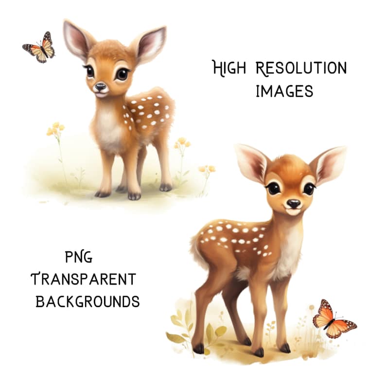 Cute Fawns, Clip Art, Digital, Stickers, Sublimation, Transparent PNG ...