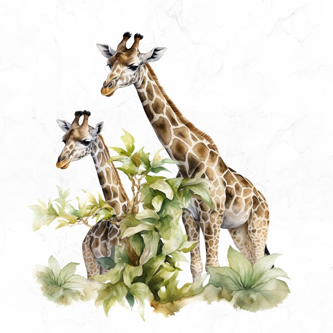 Giraffe Watercolor Clipart, Cute Clip Art, Zoo Animals, Transparent ...