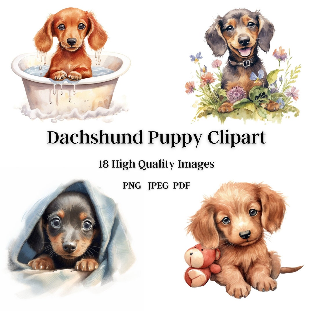 Dachshund Puppy Clip Art, 18 High Quality Images, 3 Formats, Digital ...