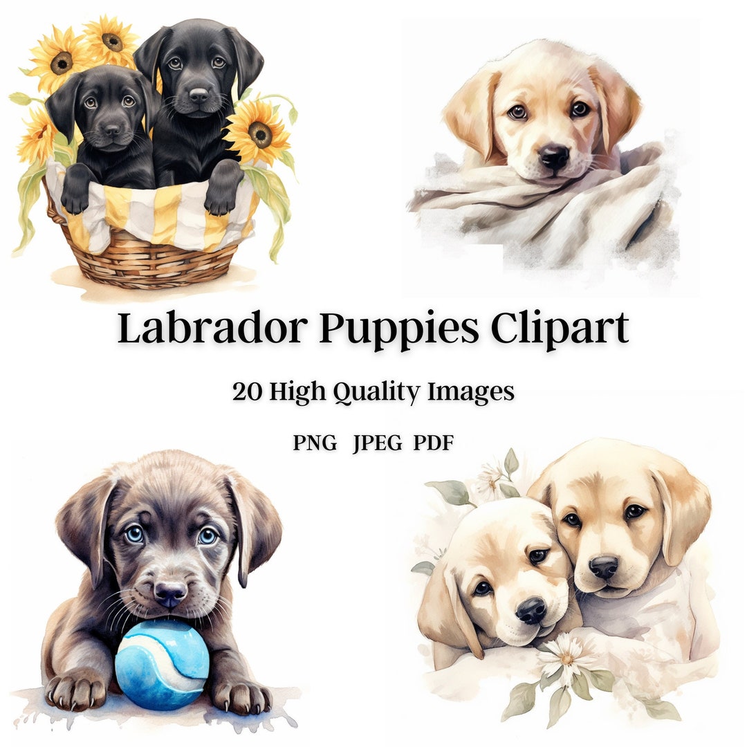 Labrador Puppy Clip Art, 20 High Quality Images, 3 Formats, Digital ...