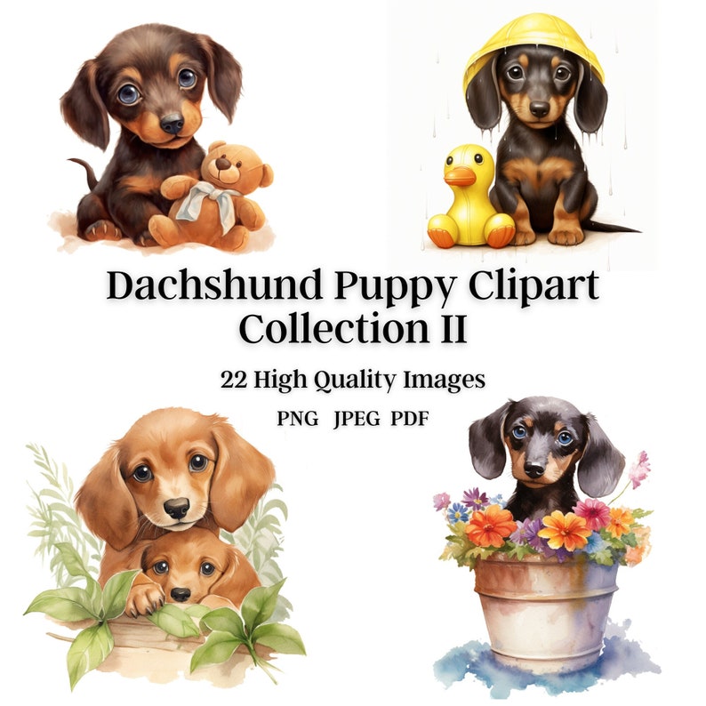 Dachshund Puppy Clip Art, 22 High Quality Images, 3 Formats, Digital ...