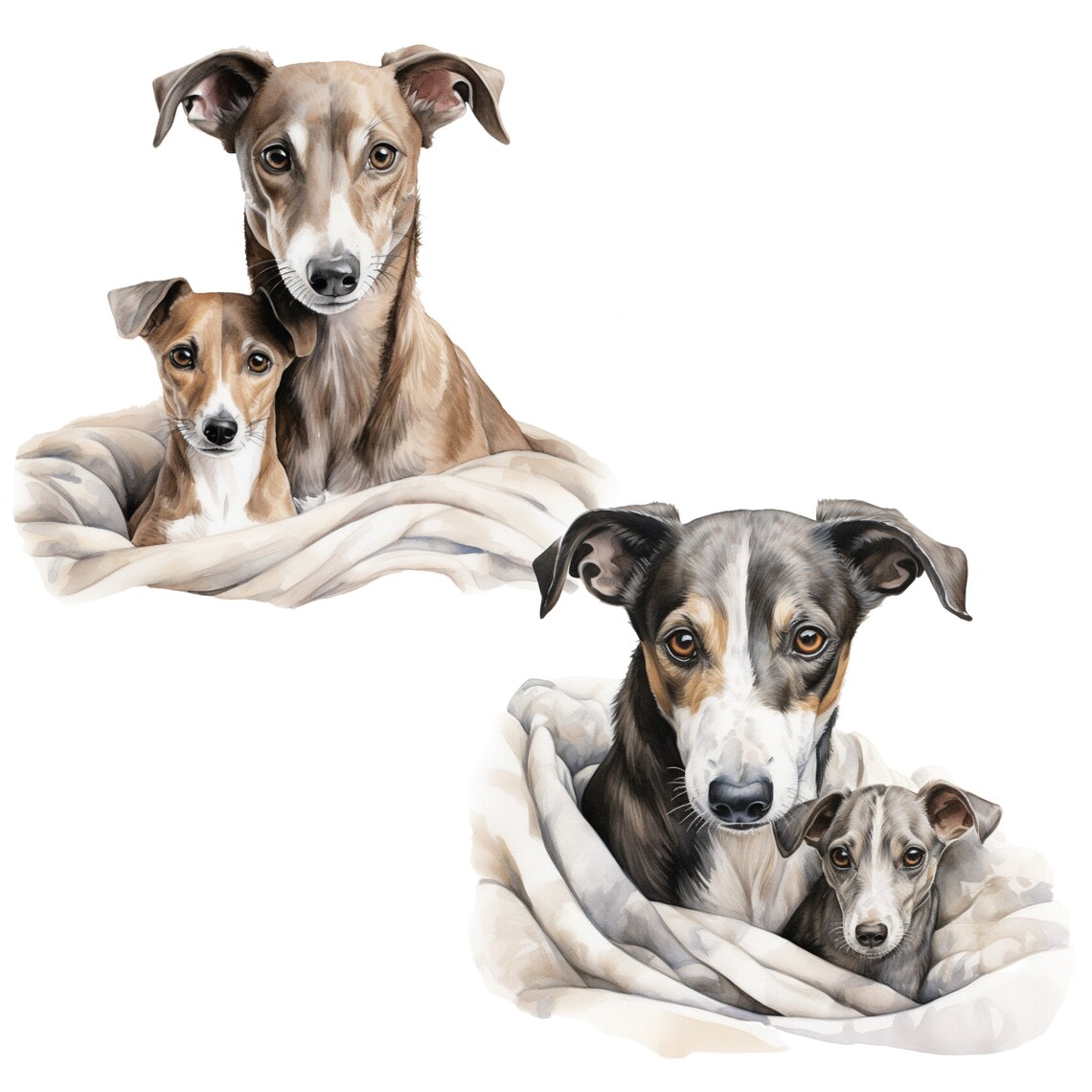 Greyhound Puppy, Digital Paper, Invitations, Wall Art, Digital Art ...