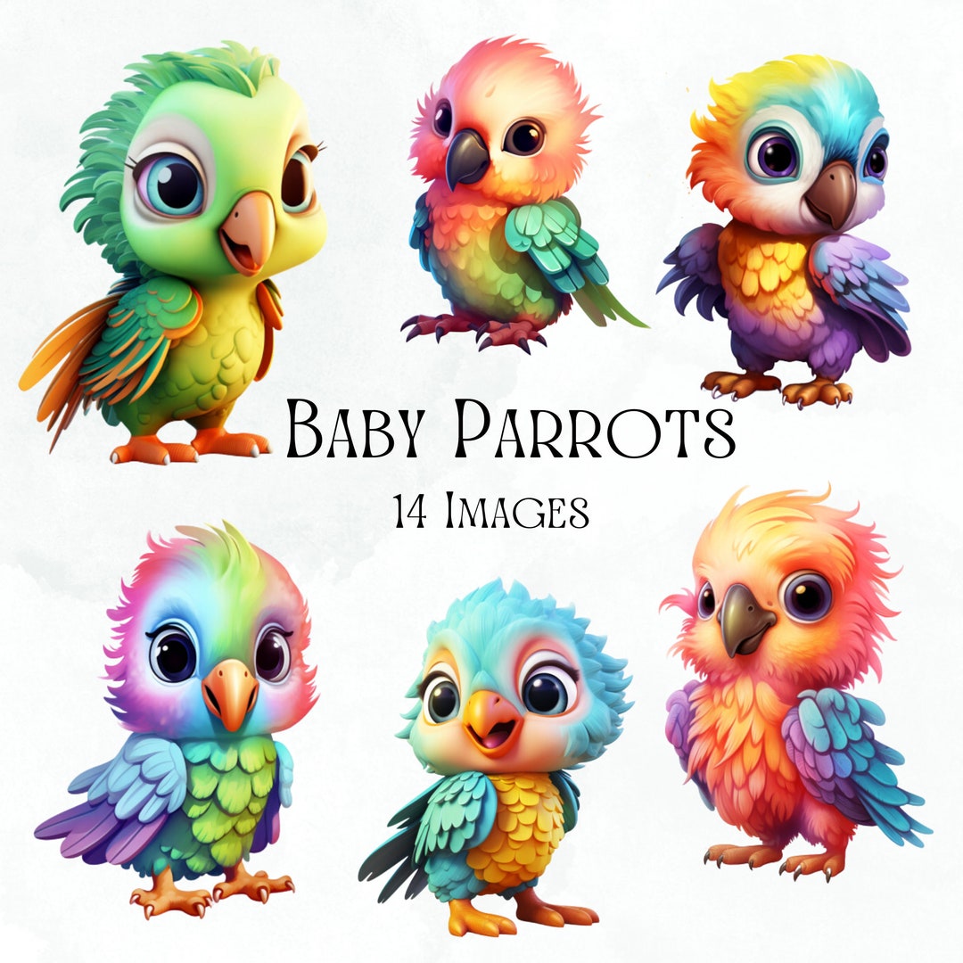 Cute Baby Parrots, Clip Art, Digital, Stickers, Sublimation ...