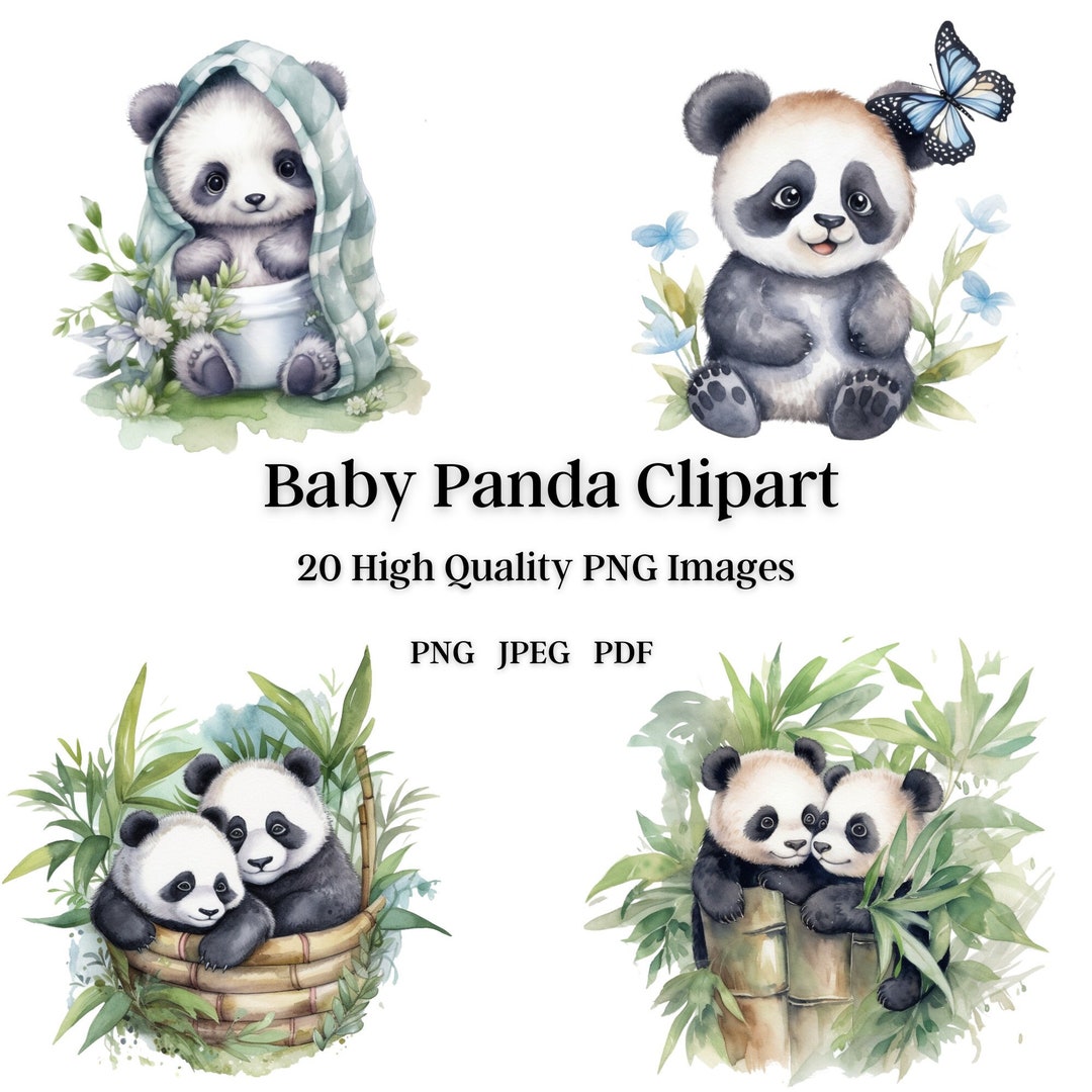 Panda Clip Art, 20 High Quality Images, 3 Formats, Digital Download ...