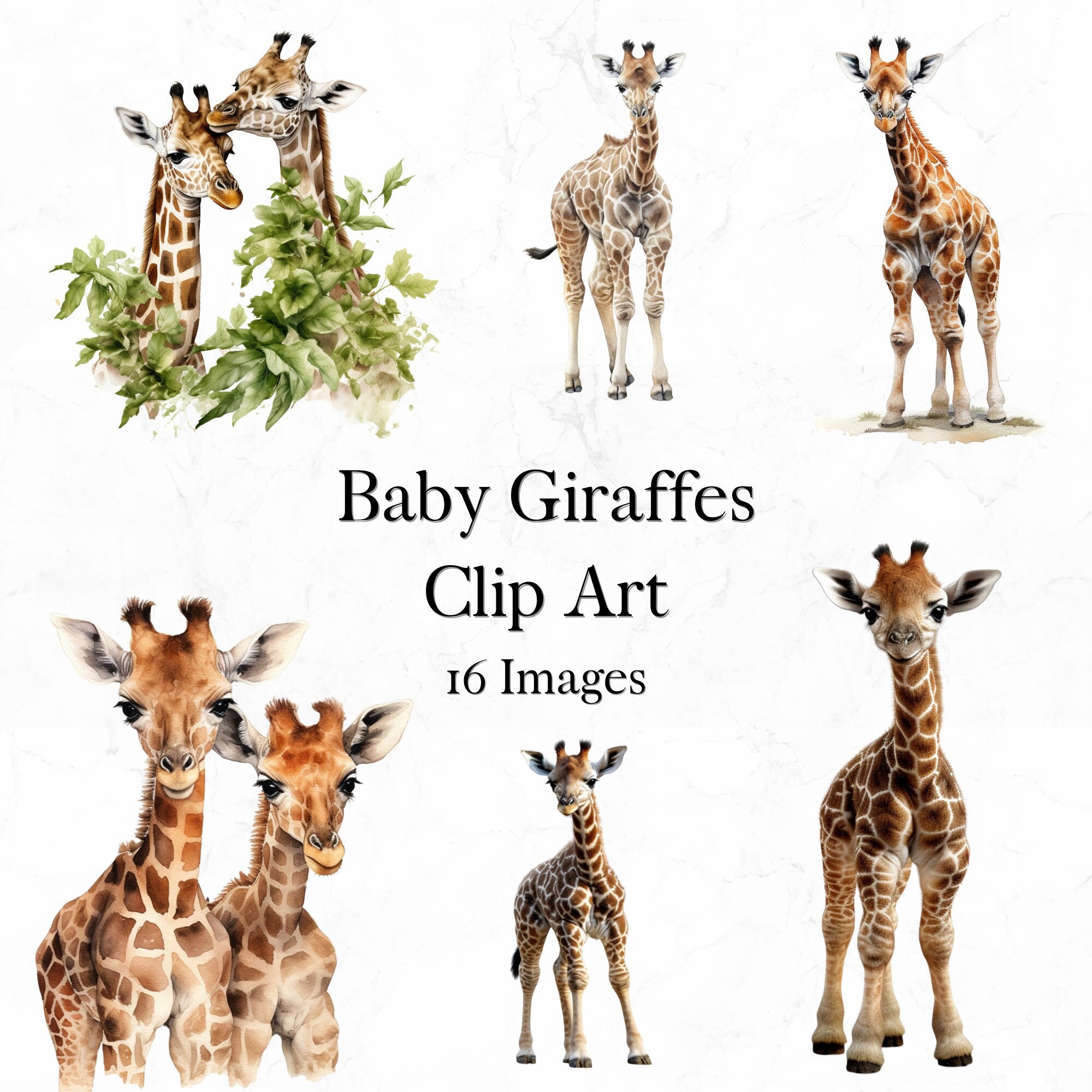 Giraffe Watercolor Clipart, Cute Clip Art, Zoo Animals, Transparent ...