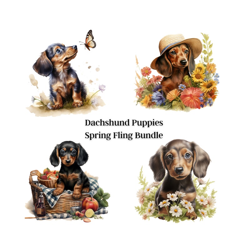 Dachshund Puppy Spring Fling, PNG, Digital Download, Digital Paper ...