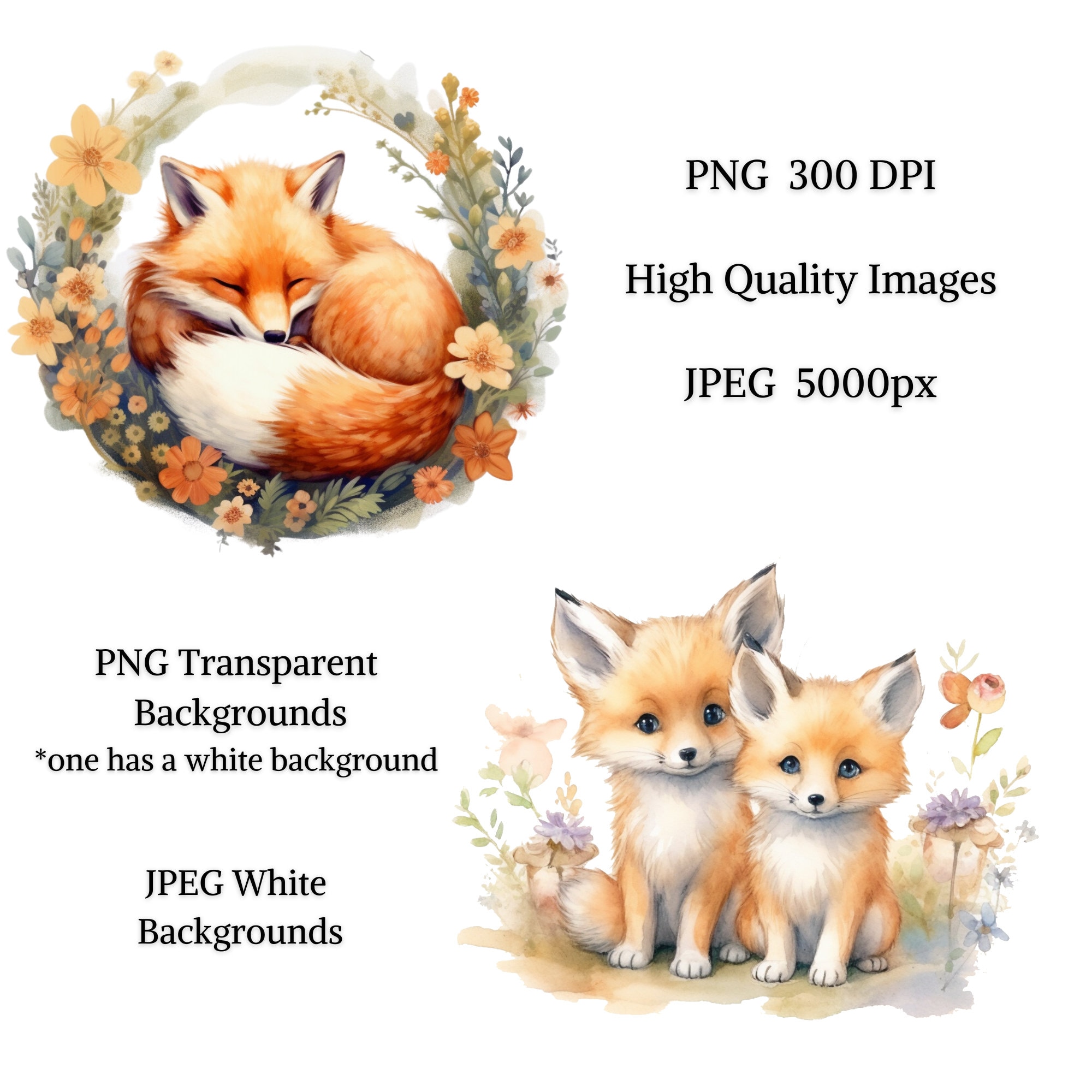Cute Fox Clip Art Version II, 12 High Quality Images, Digital Download ...
