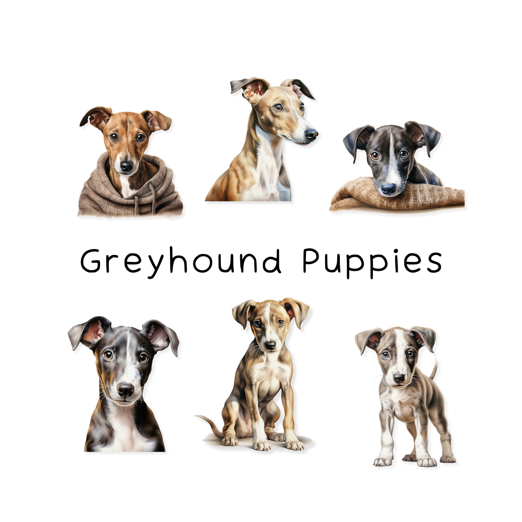 Greyhound Puppy, Digital Paper, Invitations, Wall Art, Digital Art ...