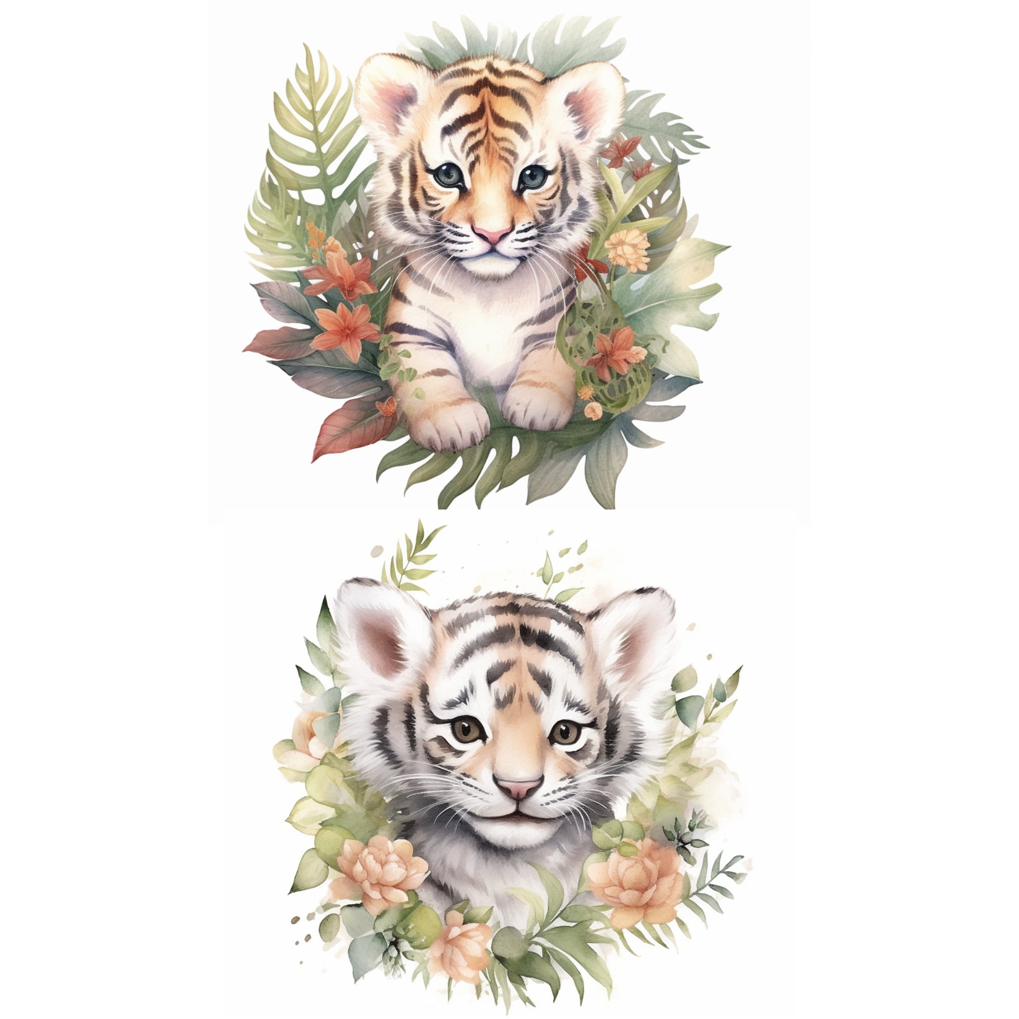 Cute Tiger Cub Clip Art 15 High Quality Images Digital - Etsy
