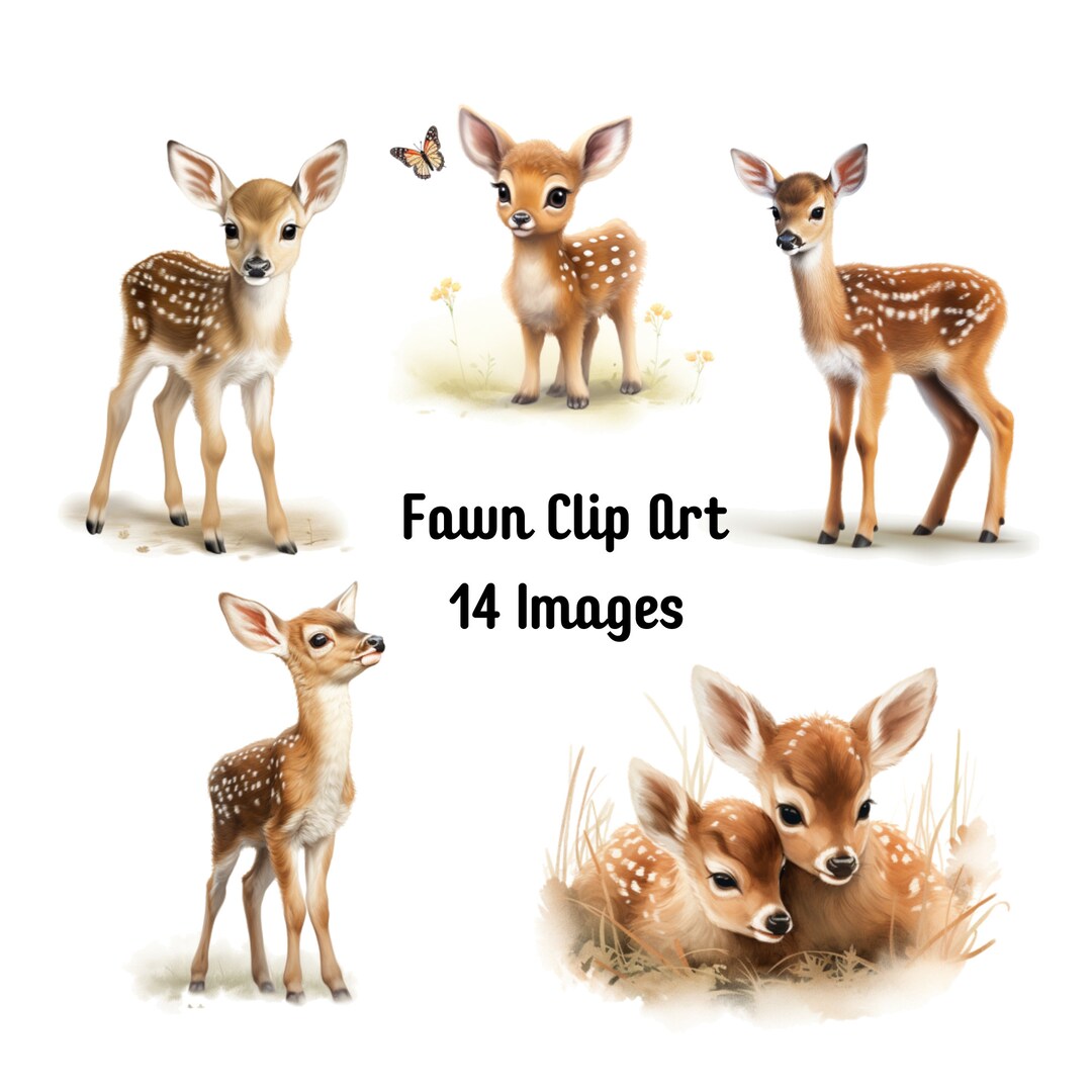Cute Fawns, Clip Art, Digital, Stickers, Sublimation, Transparent PNG ...