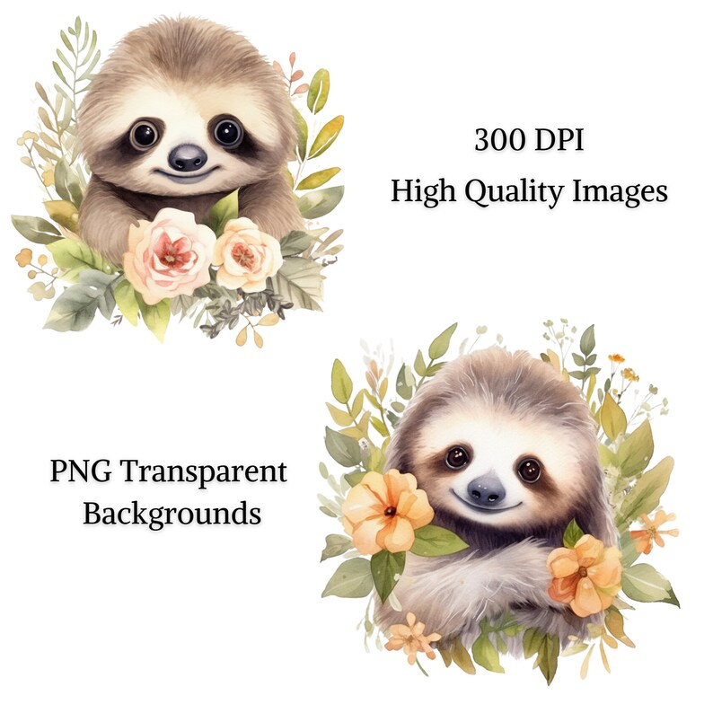 Baby Sloth Clip Art, 25 High Quality Images, Digital Download, Digital ...
