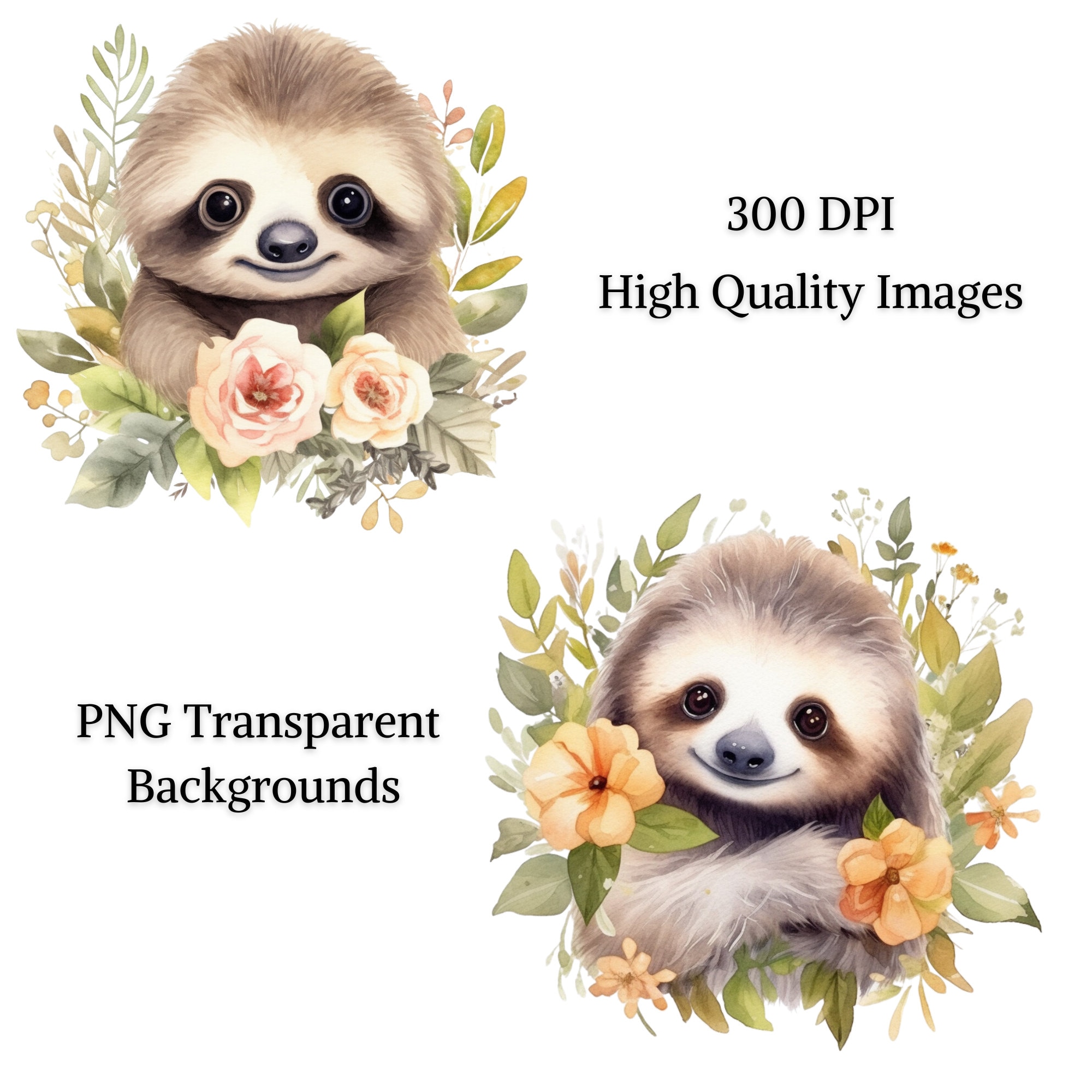 Baby Sloth Background