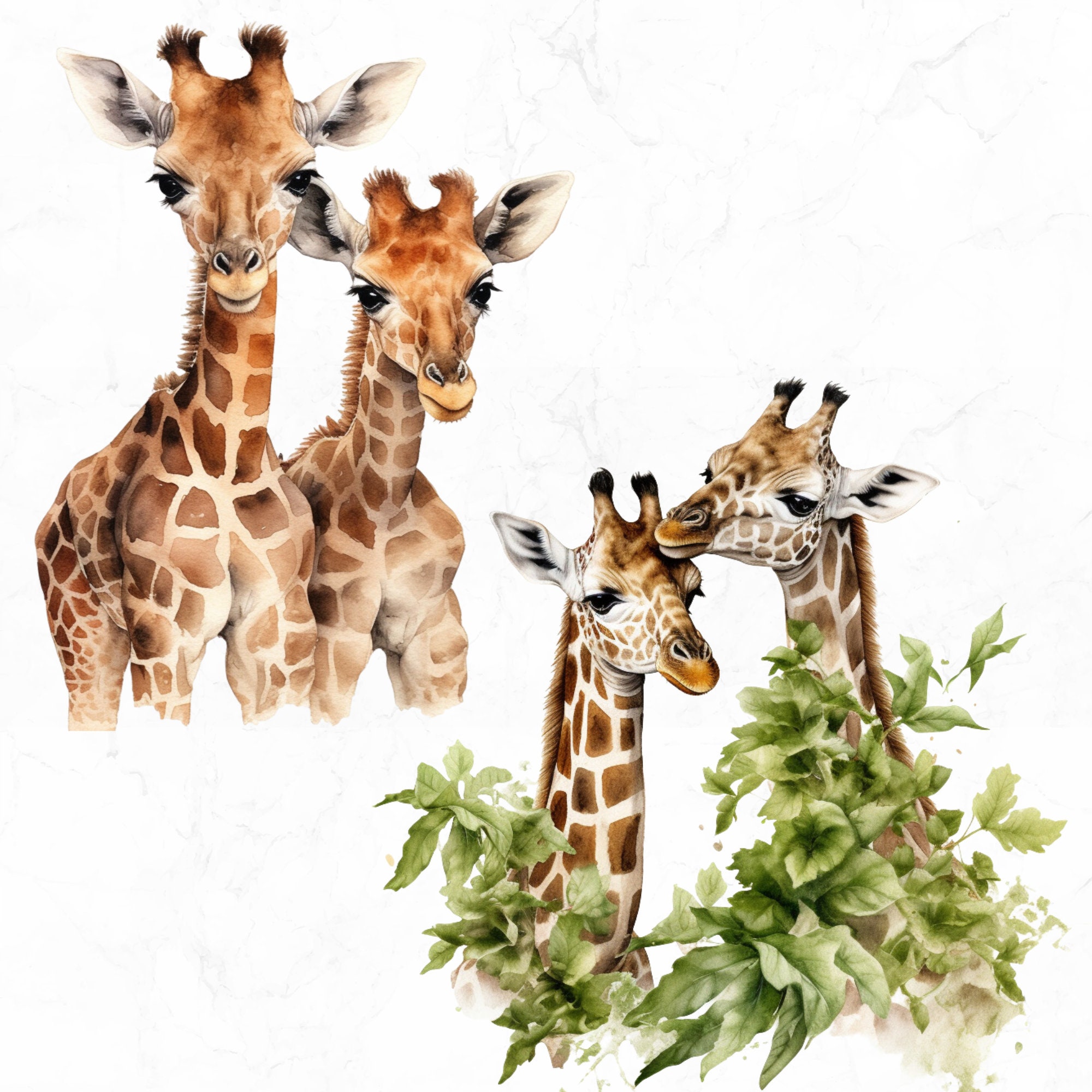 Giraffe Watercolor Clipart, Cute Clip Art, Zoo Animals, Transparent ...