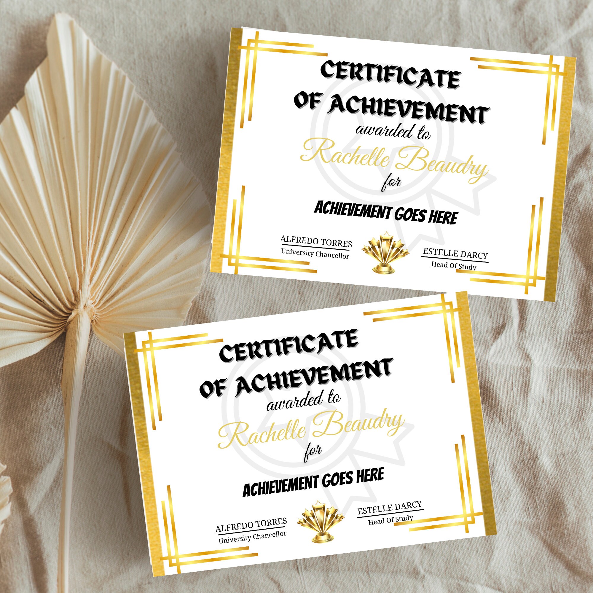 Certificate of Achievement Template / Participation Custom Certificate /achievement Award ...