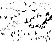 Flying Birds SVG Bundle Flying Bird Svg Flock of Flying - Etsy