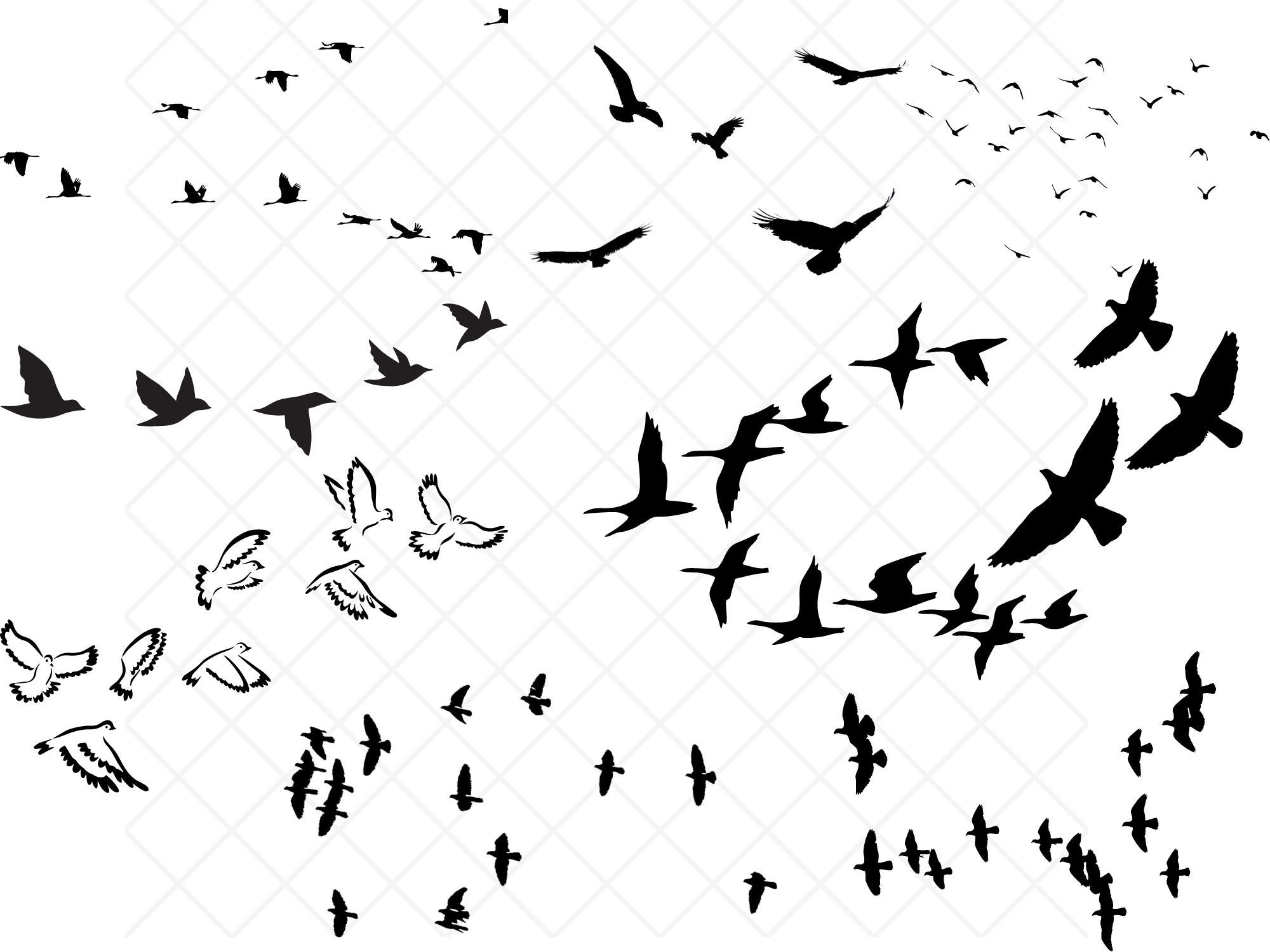 Flying Birds SVG Bundle\ Flying Bird Svg\ Flock of Flying Birds Svg ...