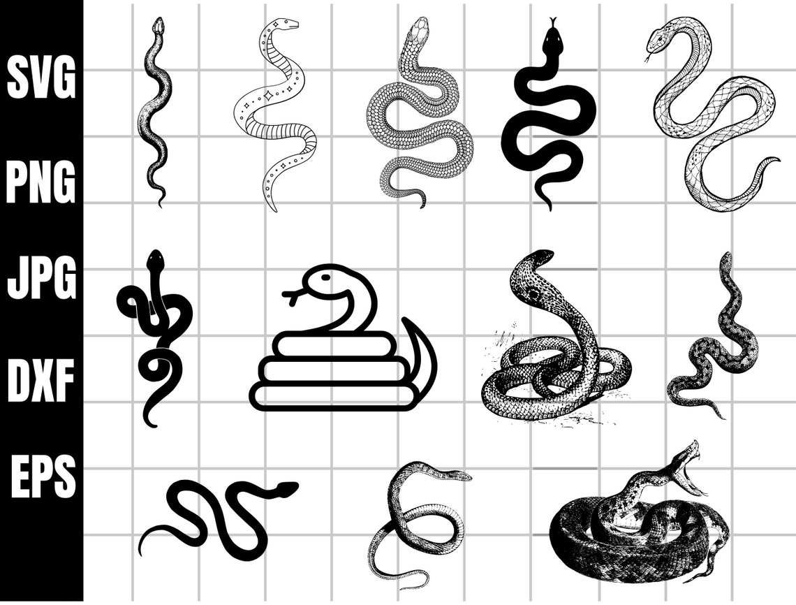 Snake SVG Bundle Floral Snake SVG Celestial Snake SVG Snake With ...