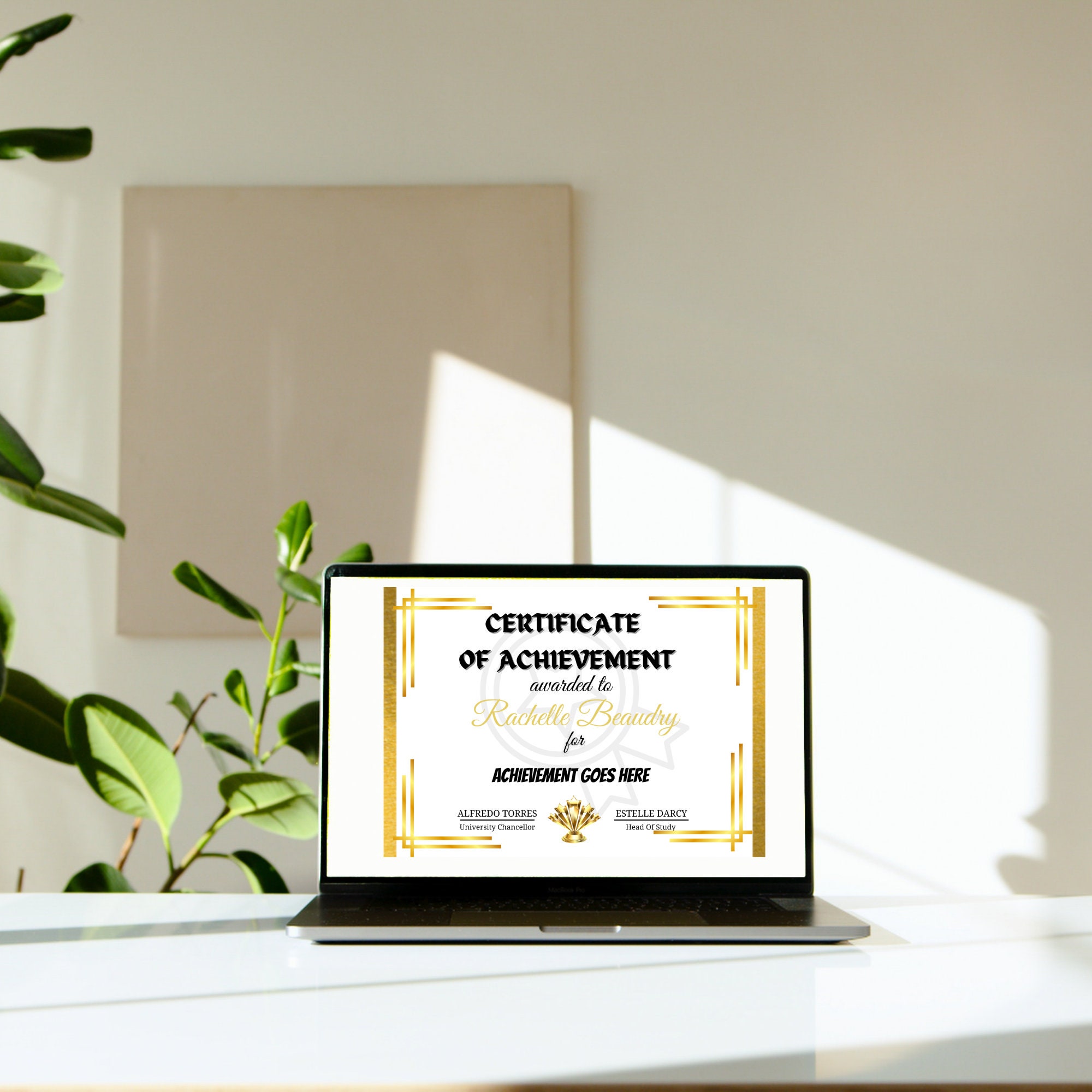 Certificate of Achievement Template / Participation Custom Certificate /achievement Award ...