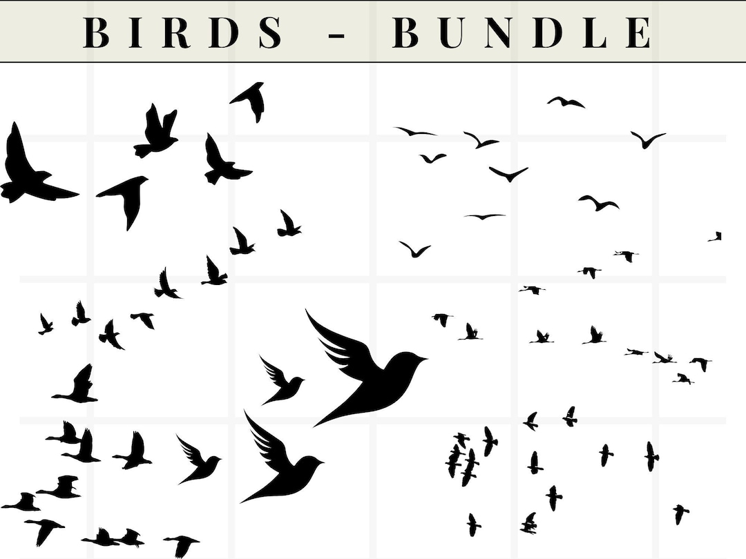Flying Birds SVG, Flying Birds Vector, Cricut File, Clipart, Silhouette ...
