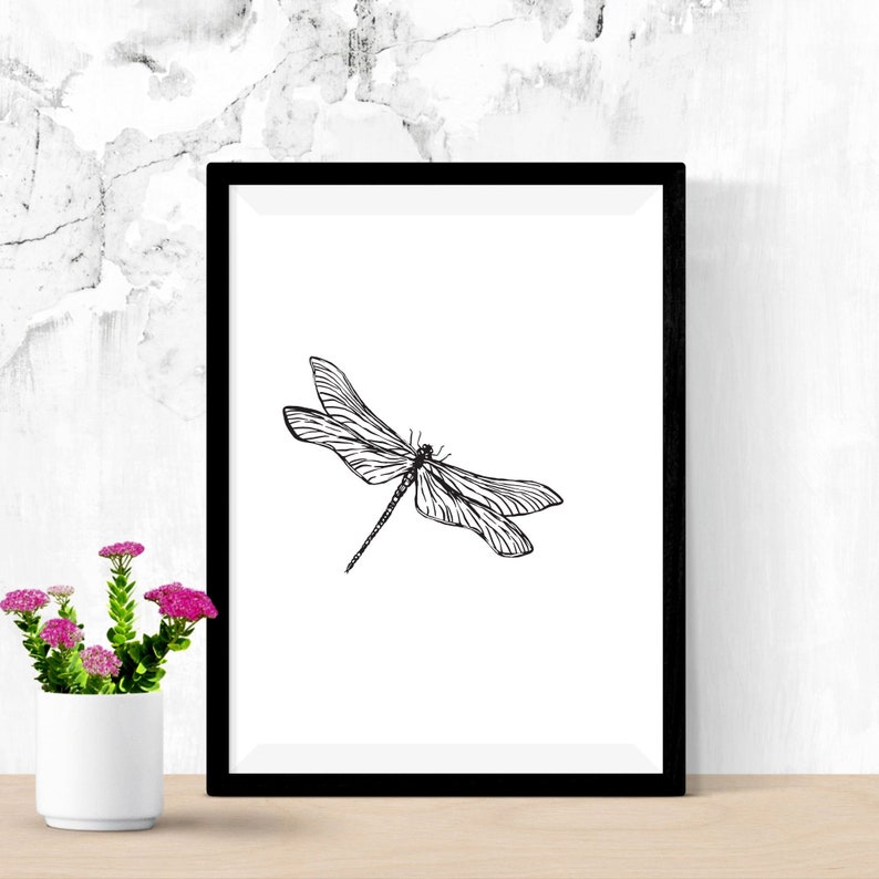 Dragonfly SVG Bundle Insect Svg Dragonfly Vector Dragonflies Wings Cut ...