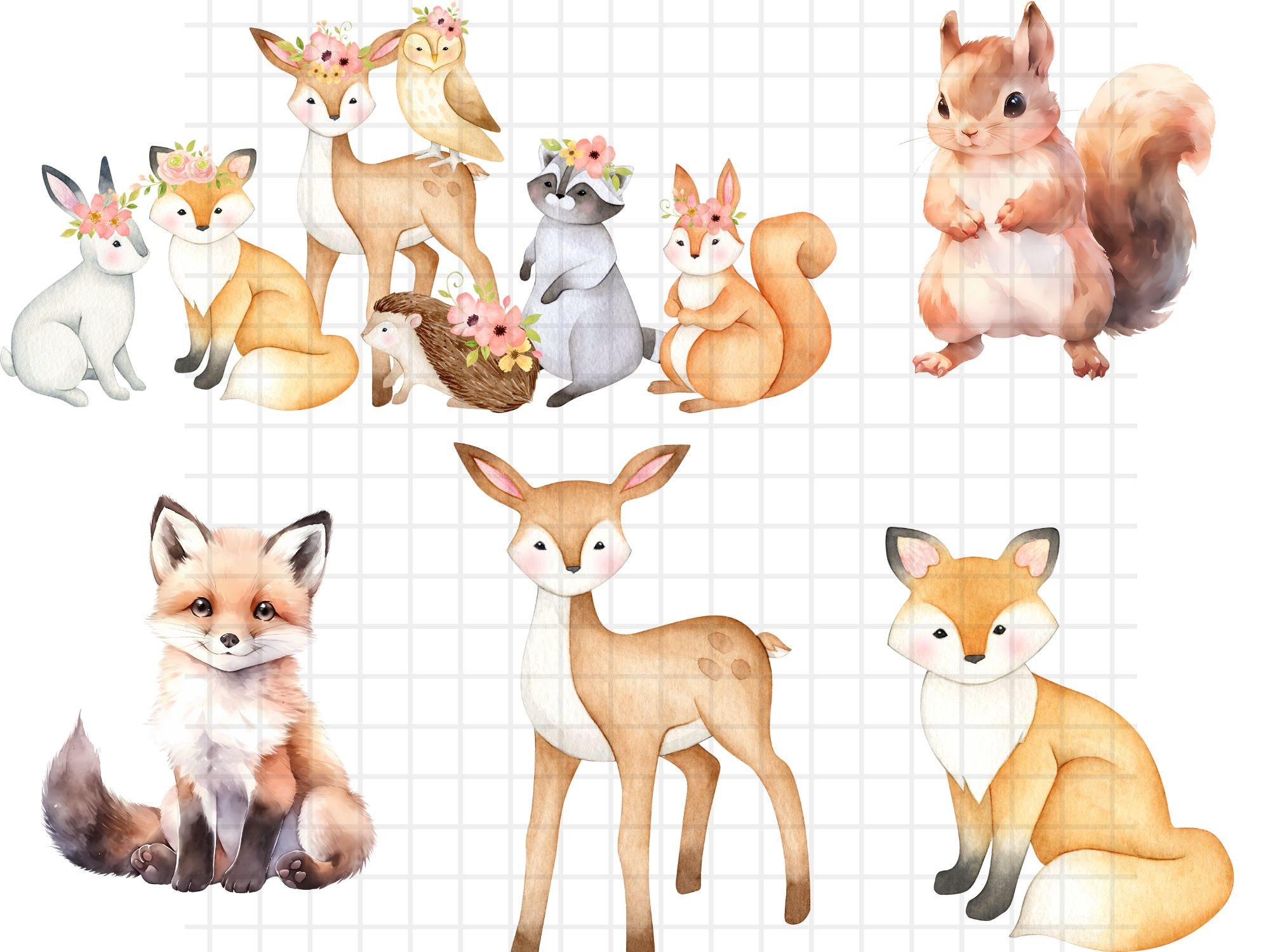Woodland Animals Png\ Cute Animal Png Bundle\ Forest Animal Cut File ...