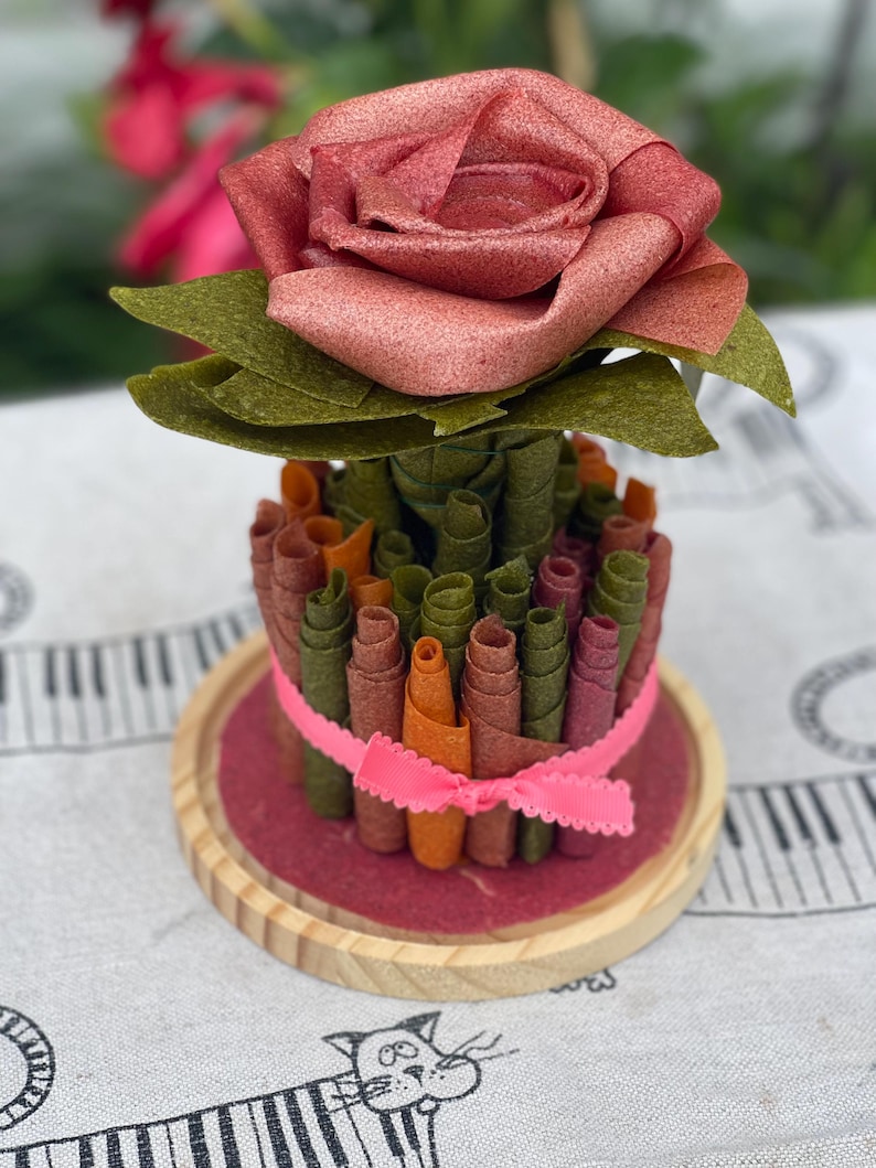 Fruit Leather. Edible Arrangement - Etsy
