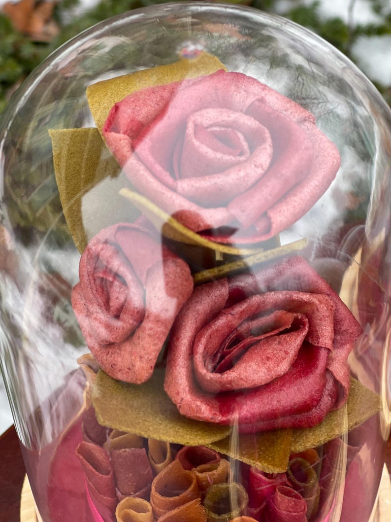 Fruit Leather. Edible Arrangement - Etsy