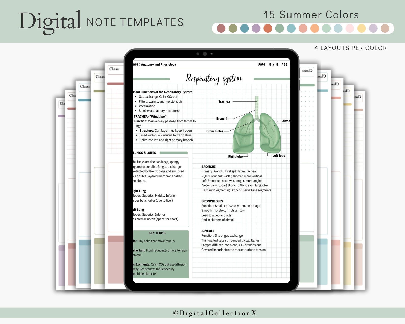 Digital Cornell Note Template Bundle for iPad Note Taking Study ...
