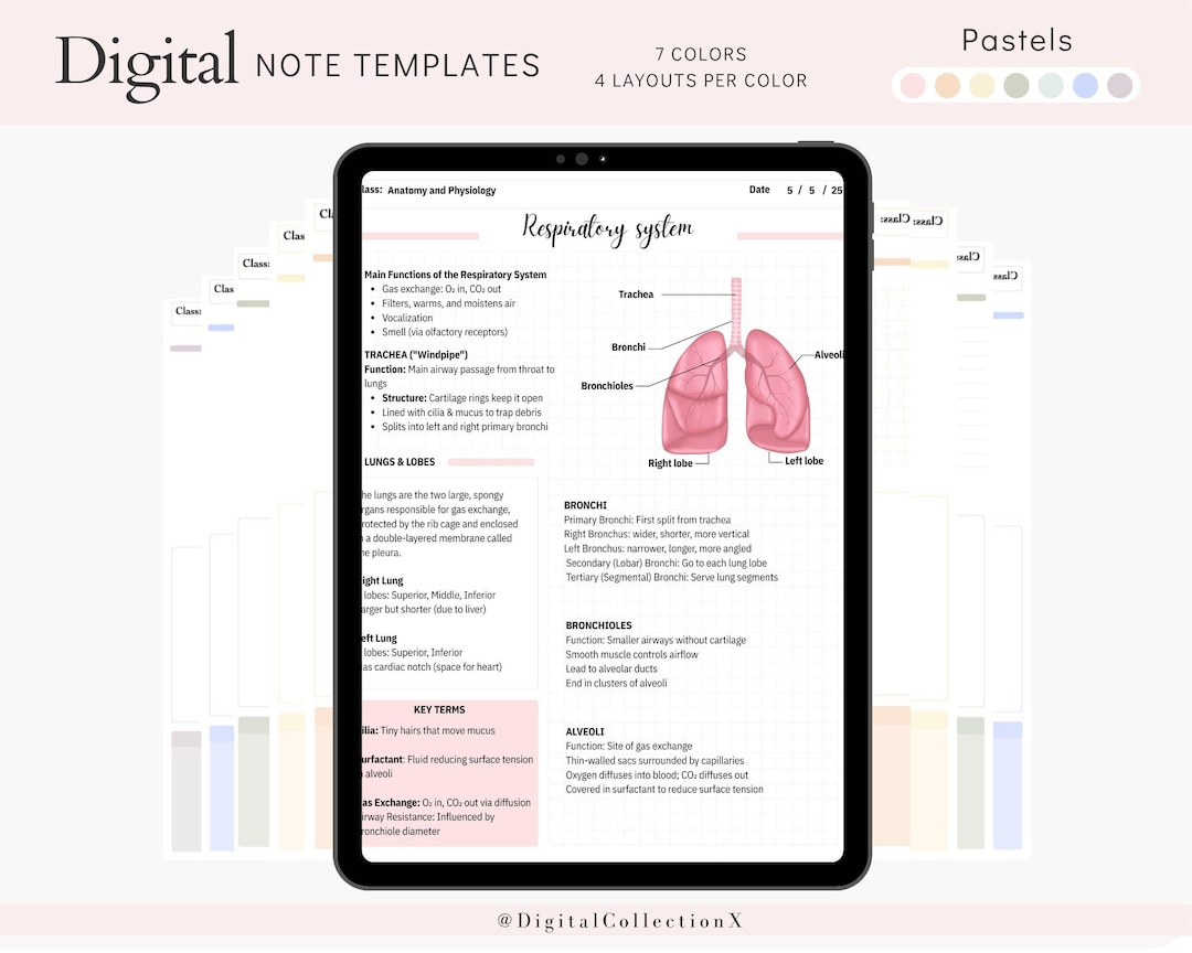 Digital Cornell Note Template Bundle for iPad Note Taking Study ...
