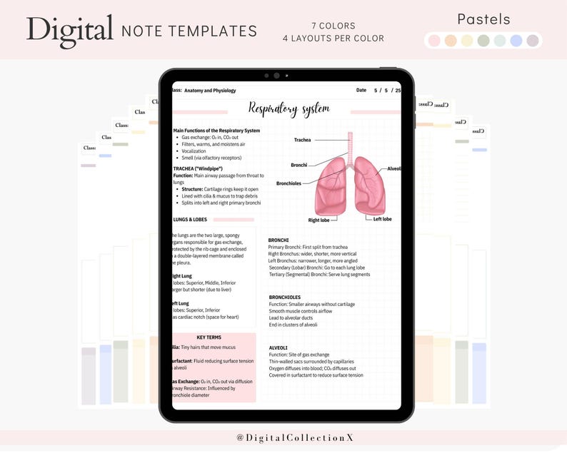 Digital Cornell Note Template Bundle for iPad Note Taking Study ...