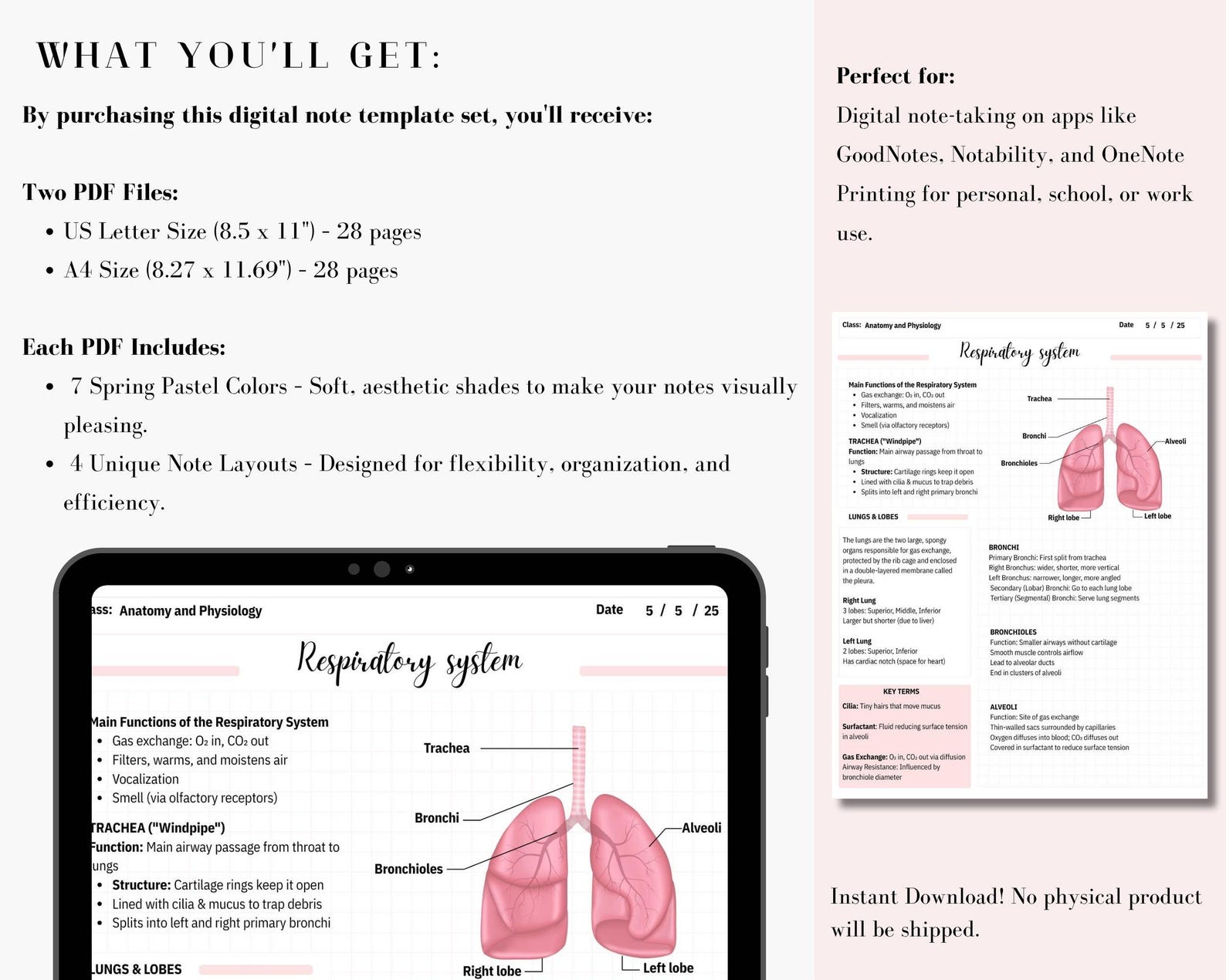 Digital Cornell Note Template Bundle for iPad Note Taking Study ...