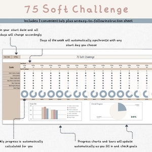 75 Day Challenge Tracker for Google Sheets,google Sheets Compatible,75 ...