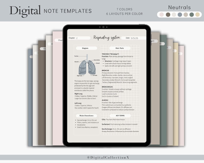 Digital Cornell Note Template Bundle for iPad Note Taking Study ...