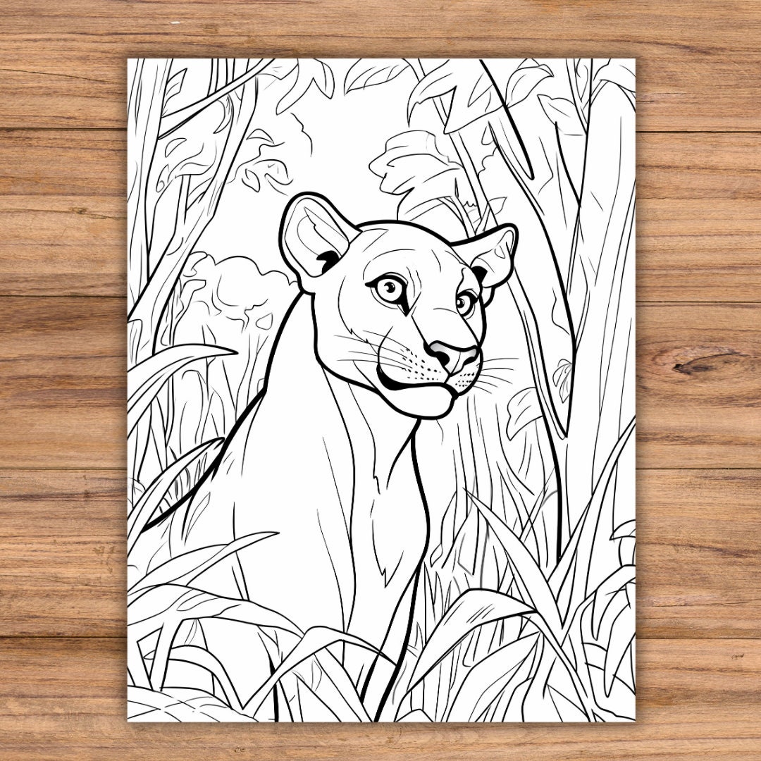 Animal's Coloring Pages for Kids 50 Pages Digital Product A4 Size PDF ...