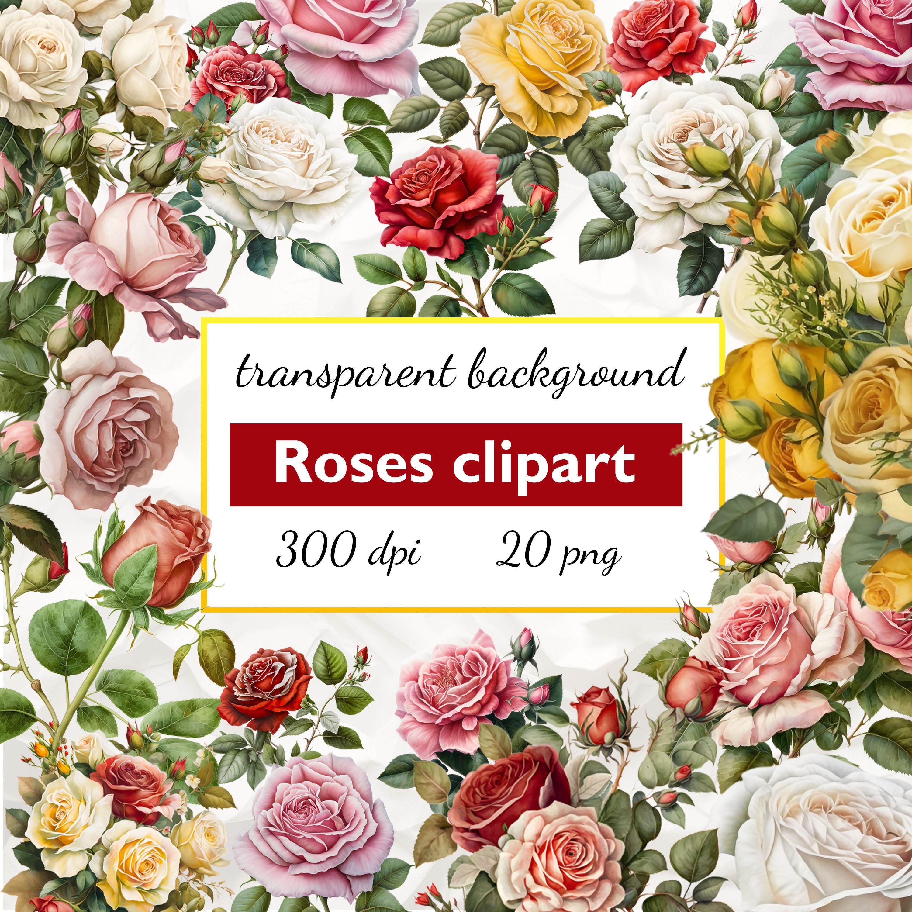 Watercolor Roses Clipart, Roses and Leaves PNG, Roses Clipart ...